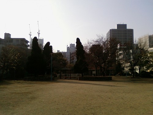 【画像】【写真記事】3Gハイスピード対応！超薄型ケータイ「709SC」 14/21 - ライブドアニュース