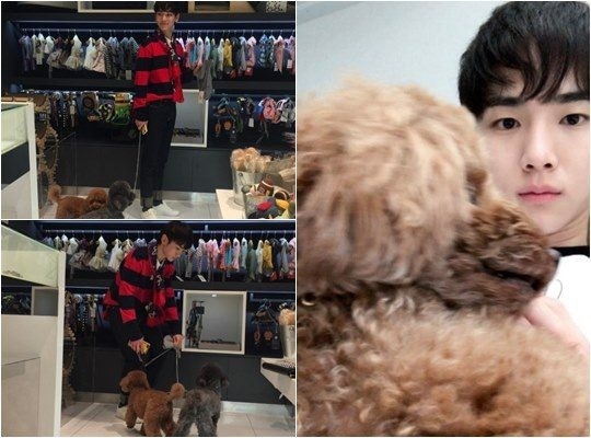 SHINee キー、愛犬とのセルフショットを試みるも…目線をもらえず「何枚か撮ろう」 - ライブドアニュース
