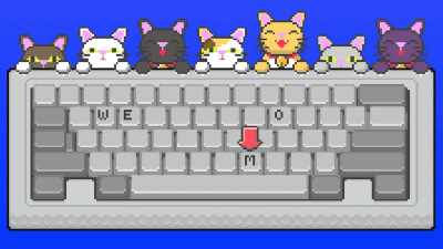 キーボードをたたくと猫がにゃーにゃー鳴くブラウザ拡張「KittyKeys」 - ライブドアニュース