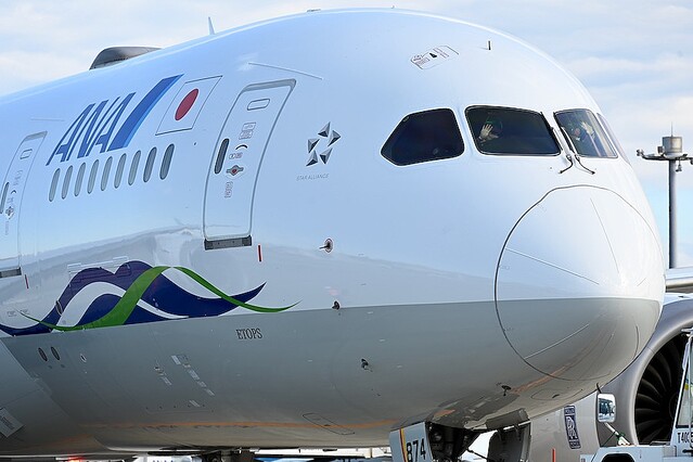 緑の尾翼の「ANA Green Jet」、2号機が国内線でデビュー 初日は羽田～福岡2往復 - ライブドアニュース