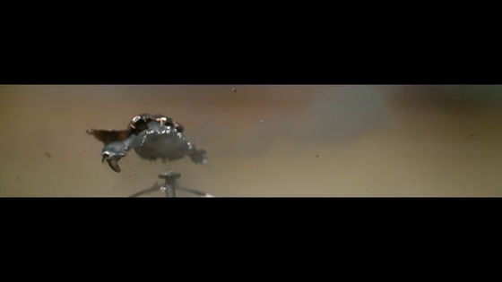 【画像】弾丸を弾丸に命中させる瞬間を87万5000fpsの超スローモーションで撮影した動画 17/52 - ライブドアニュース