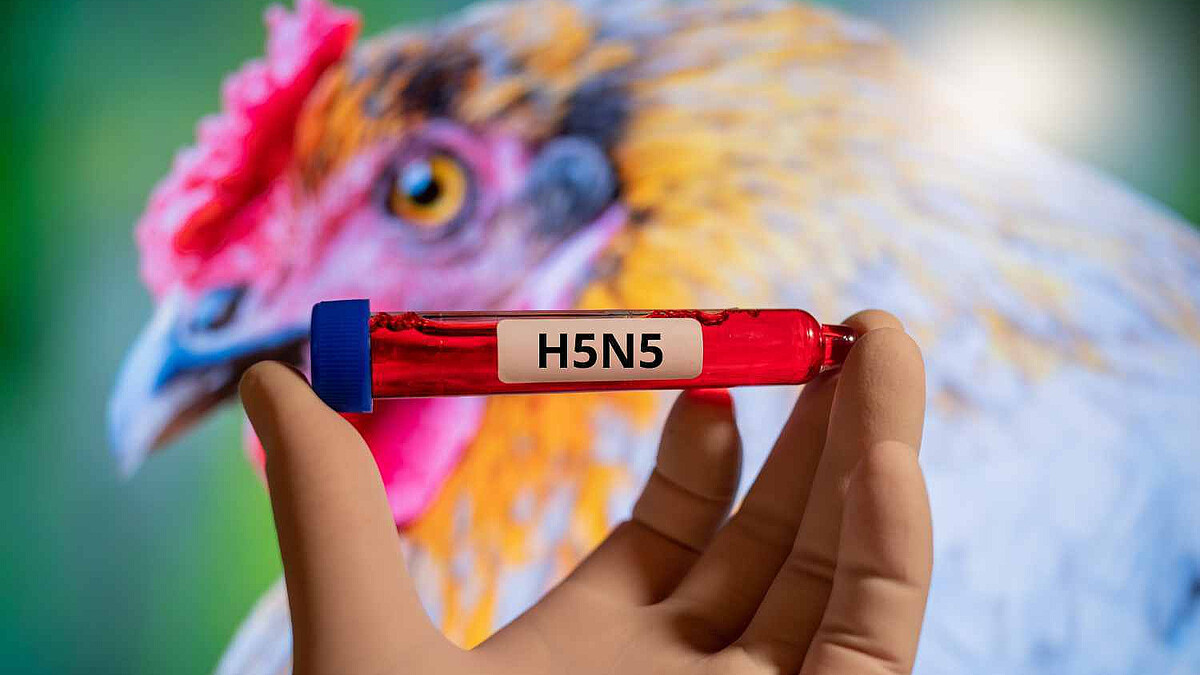 米国でH5N5型鳥インフルエンザによる死亡例を報告 - ライブドアニュース