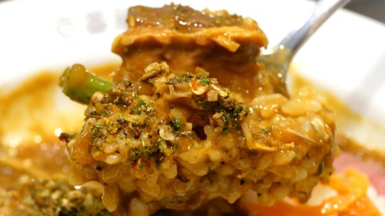 骨までホロホロのサバをスパイスやトッピングで爽やかスパイスカレーに仕上げたCoCo壱番屋「SABAとごぼうのスパイスカレー」試食レビュー ...