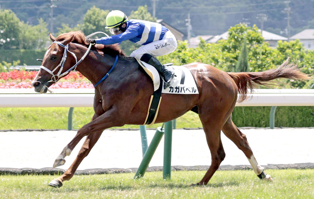 【福島3R・2歳未勝利】石川裕紀人騎手の腹をくくった作戦が奏功 カガバベルが2戦目で初勝利 (2024年7月21日掲載) - ライブドアニュース