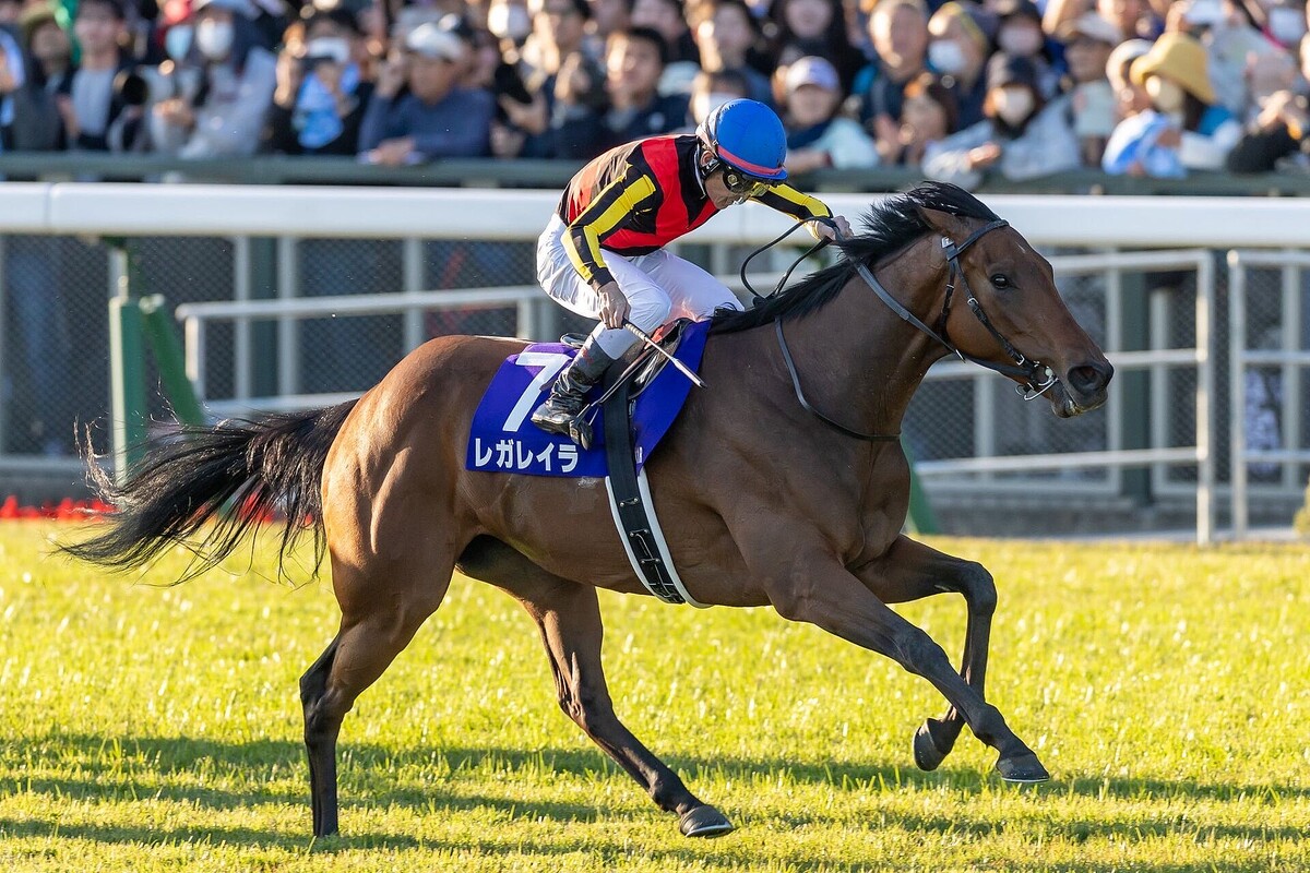 【エリザベス女王杯】戸崎「ベリーベリーホース！」レガレイラがG1・3勝目 - ライブドアニュース