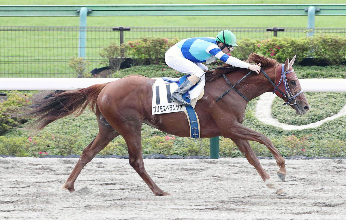 土曜中京競馬場の注目激走馬…中京11Rマレーシアカップ - ライブドアニュース