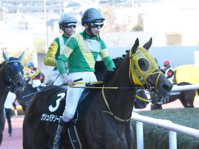 【JRA・WIN5】1番人気が3勝し的中8255票、配当5万3450円 - ライブドアニュース