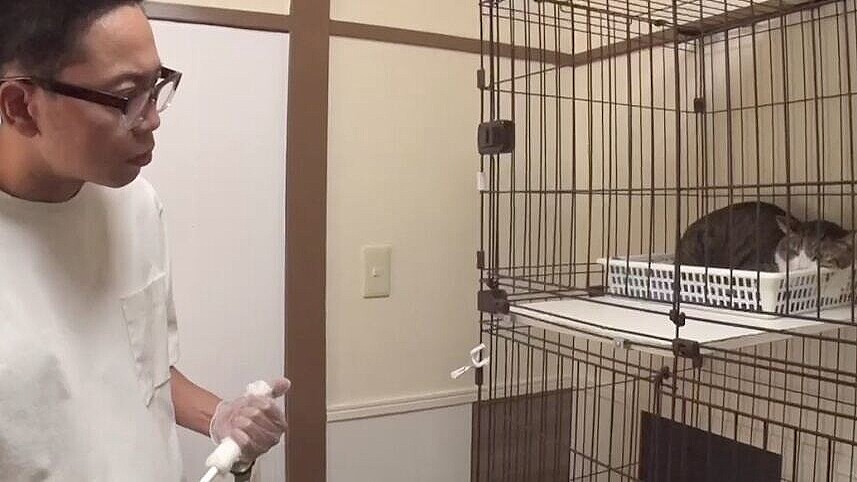 サンシャイン池崎、6匹目の保護猫預かり生活「これまでの中で一番のビビり」 (2023年11月4日掲載) - ライブドアニュース