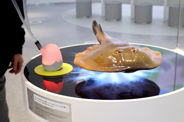 【画像】【大阪・関西万博】親子で行ったら絶対楽しい！ゲーム感覚で未来のエネルギーを体感するパビリオン『電力館 可能性のタマゴたち』 13/21 ...