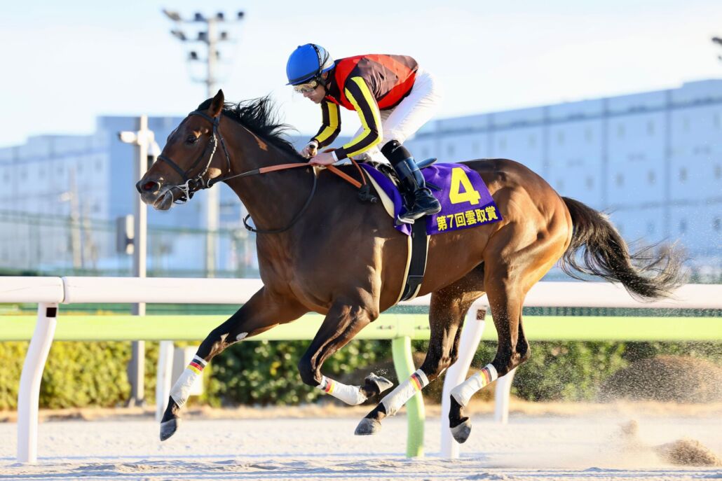 アメリカ三冠競走にJRA所属馬が予備登録 - ライブドアニュース