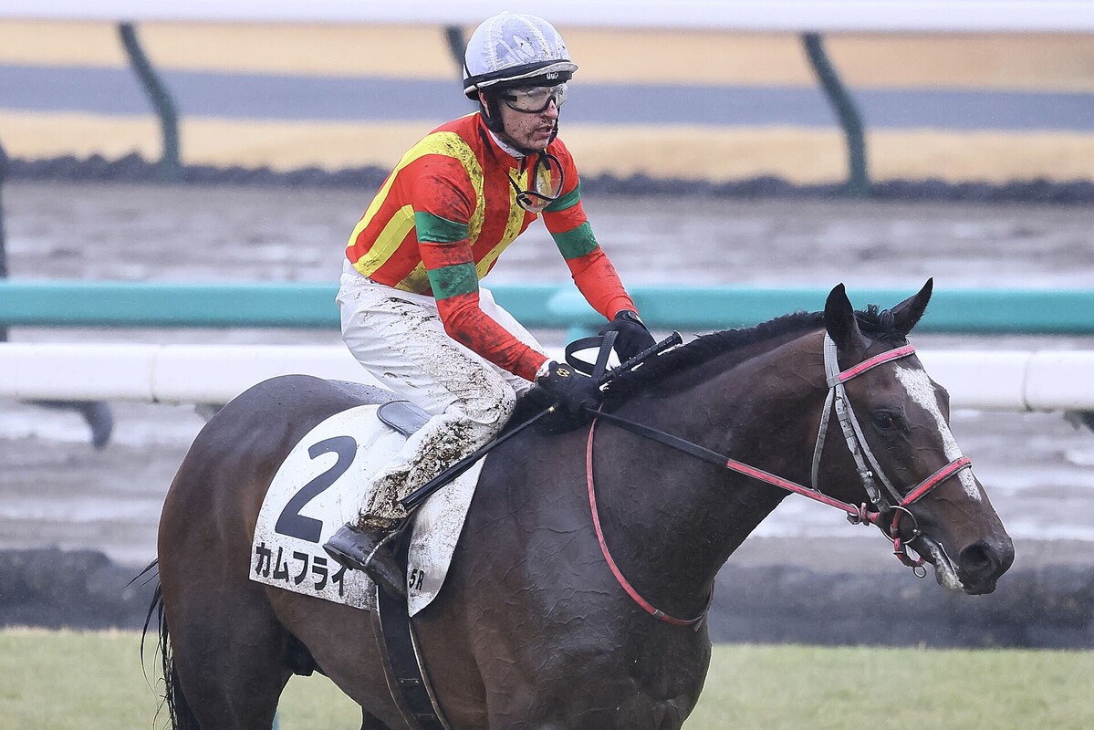 【中山5R】キングスコートがJRA初勝利…カムフライで抜け出す - ライブドアニュース