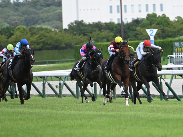 【JRA・WIN5】1番人気4勝、2番人気1勝で的中55919票・配当1万140円 - ライブドアニュース