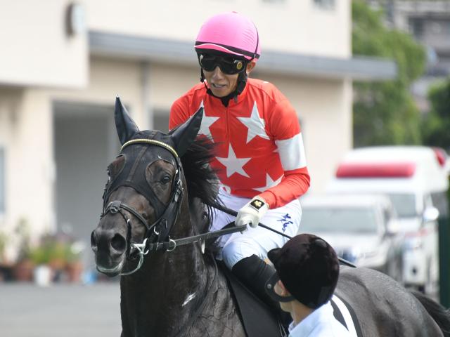 【JRA・WIN5】本日のWIN5は的中178票、配当231万770円 - ライブドアニュース