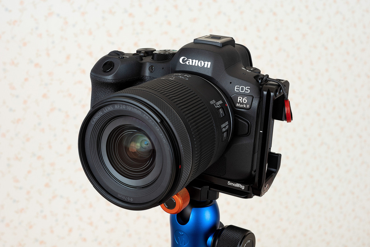 私はこれを買いました！：「III」ではなく「II」を買った理由 キヤノン EOS R6 Mark II（岡嶋和幸） (2025年12月25日 ...