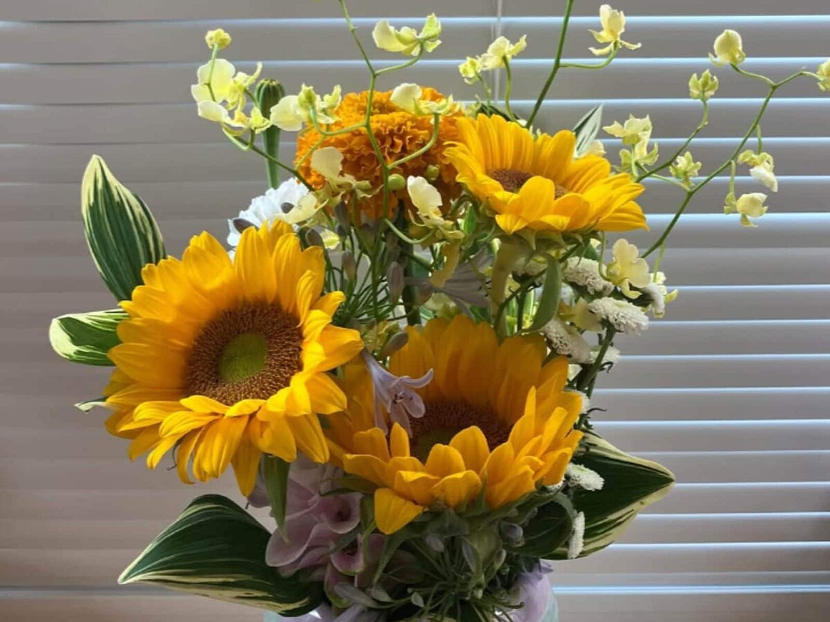 peco、ryuchellの命日に“今の素直な気持ち”を吐露「息子のおかげで当たり前のようにりゅうちぇるを感じられている」 - ライブドアニュース