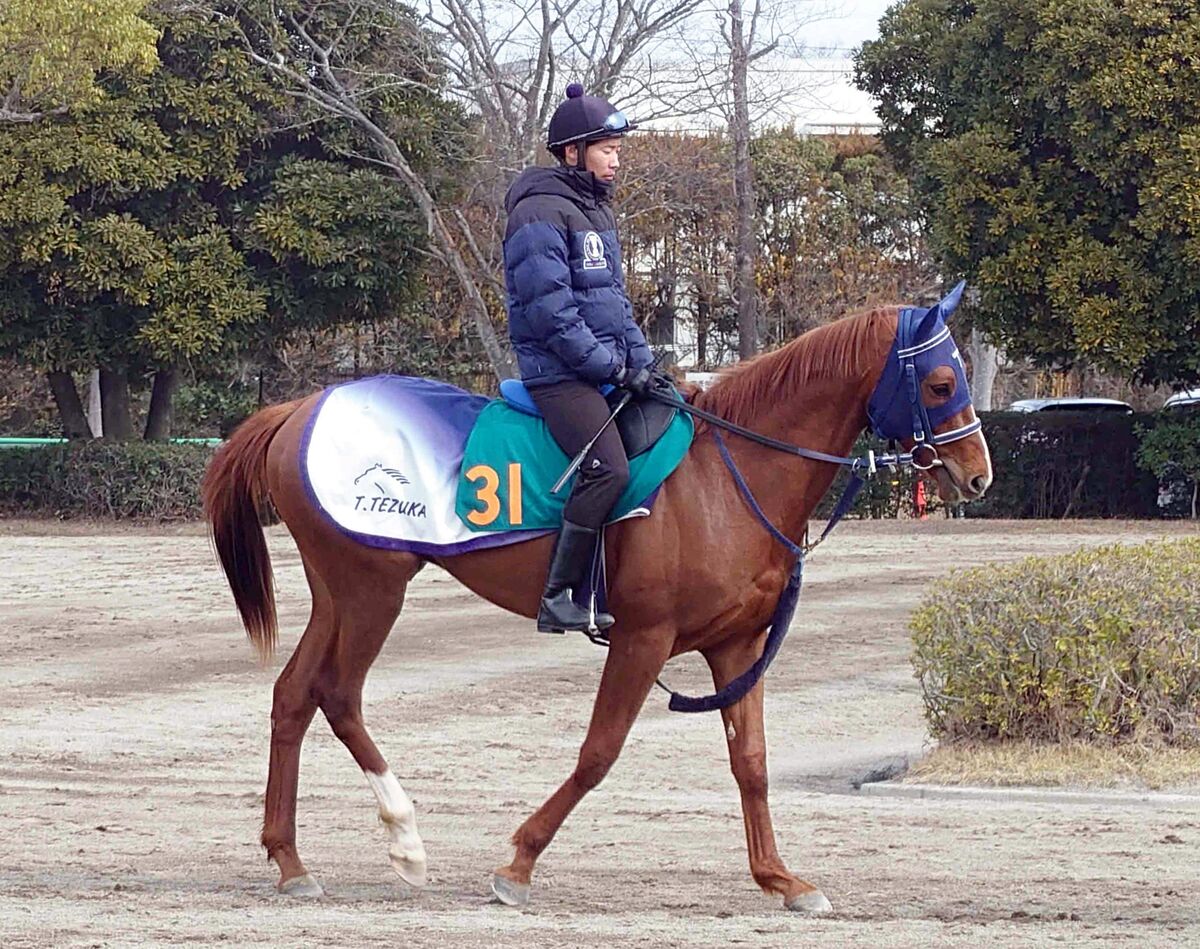【画像】【POG】手塚厩舎の2歳一番乗りはドゥラメンテ産駒の牡馬ラストレガシー「初子だけどしっかりしている」 - ライブドアニュース