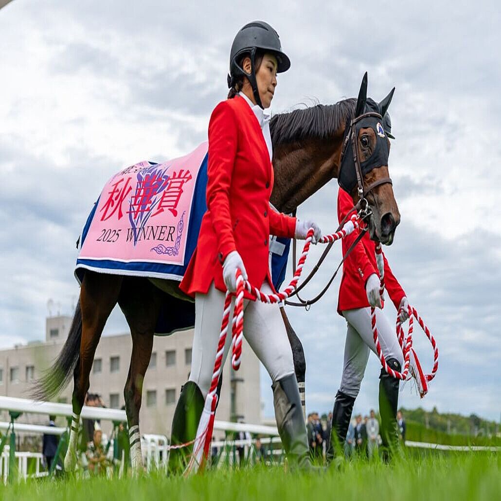 WIN5でJRA史上最高配当を記録…新潟競馬でもワイド最高額更新 (2025年10月19日掲載) - ライブドアニュース