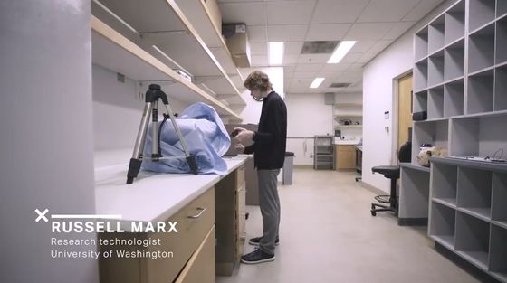 「ネズミの鳴き声の意味」を機械学習で解読するシステム「DeepSqueak」が開発中、マウス実験で活用される見込み - ライブドアニュース