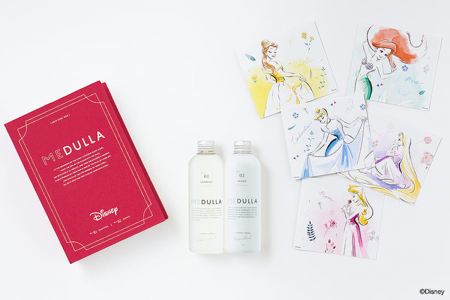 テーマに合わせた5人のプリンセスデザイン！MEDULLA「Disney SPECIAL HAIR CARE BOX」 - ライブドアニュース