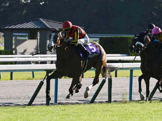 【JRA・WIN5】本日のWIN5は的中384票、配当108万6510円 - ライブドアニュース