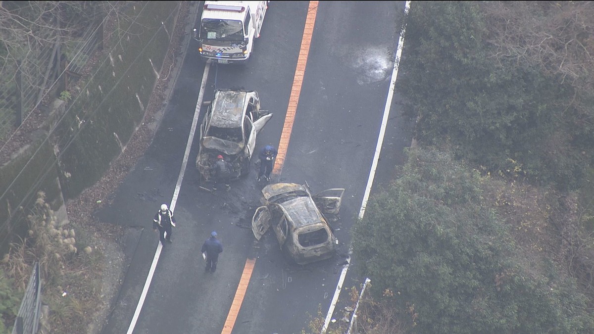 Programa de campo grande ms transvestite