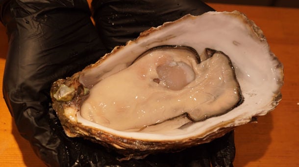 牡蠣好きにはたまらない！神奈川・横浜「Oyster Lab」 - ライブドアニュース