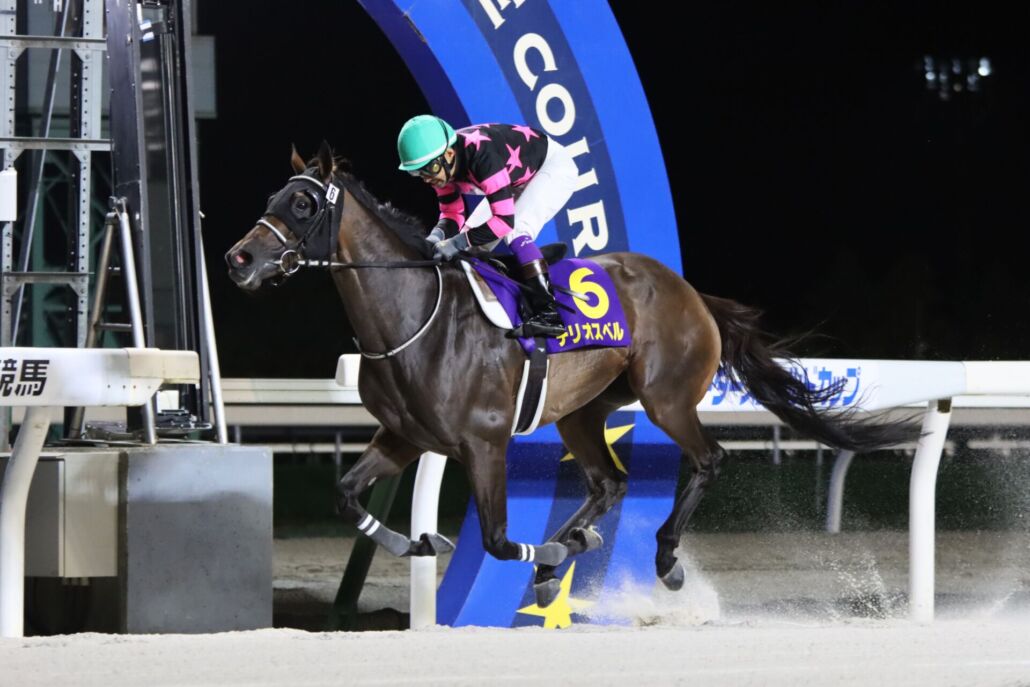 【JBCレディスクラシック】JRA出走予定馬 - ライブドアニュース