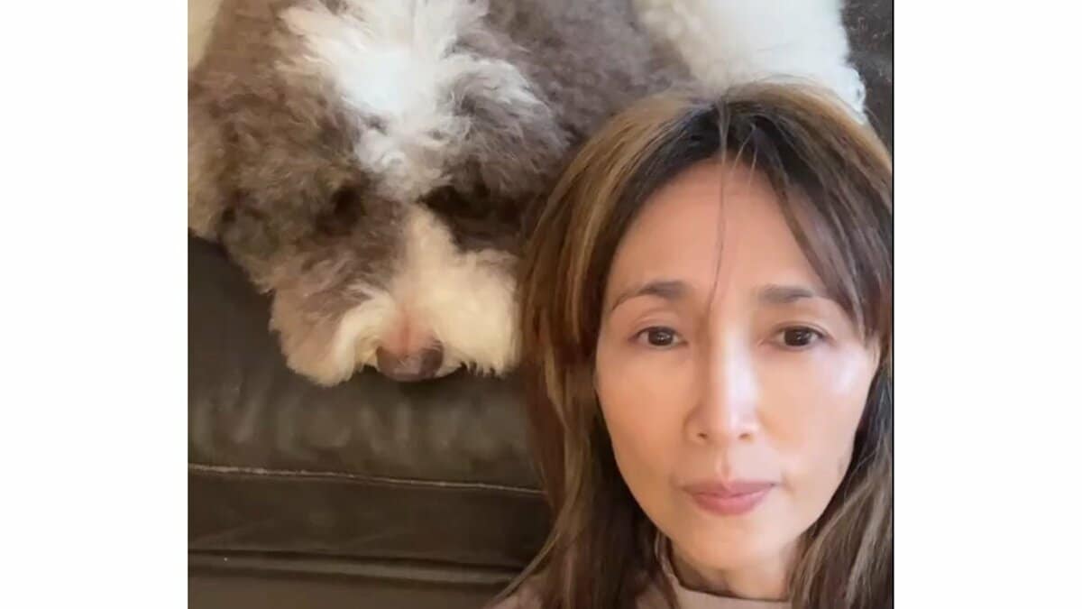 工藤静香 】 愛犬に叱られる姿を公開「年に数回、眠気マックスのエトに叱られる私」 (2025年12月29日掲載) - ライブドアニュース