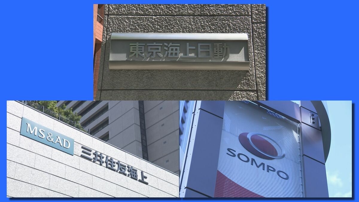 【画像】東京海上・MS＆AD・SOMPO 大手損保グループ3社が2024年度決算発表 純利益は過去最高 円安で海外事業好調が要因か - ライブドアニュース