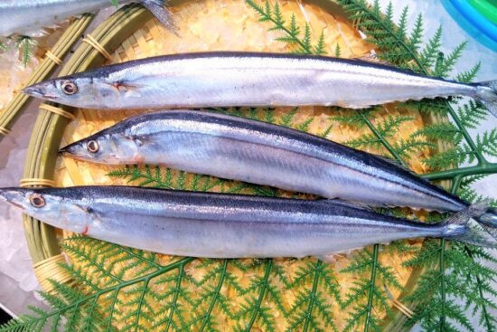 【今月の旬食材】「さんま」 旬の時期は一瞬！ 脂ののりが最高なのは9月～10月！～味覚歳時記～ - ライブドアニュース