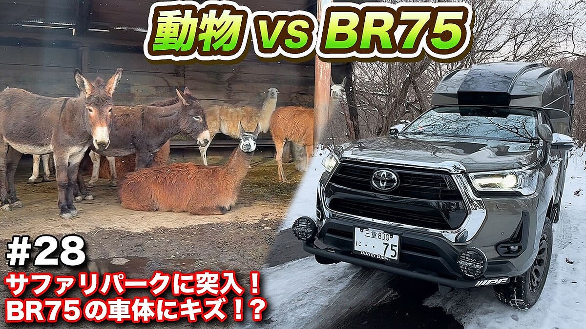 BR75でサファリ突入!? ライオン＆雪道にも負けないキャンピングカーの実力 - ライブドアニュース