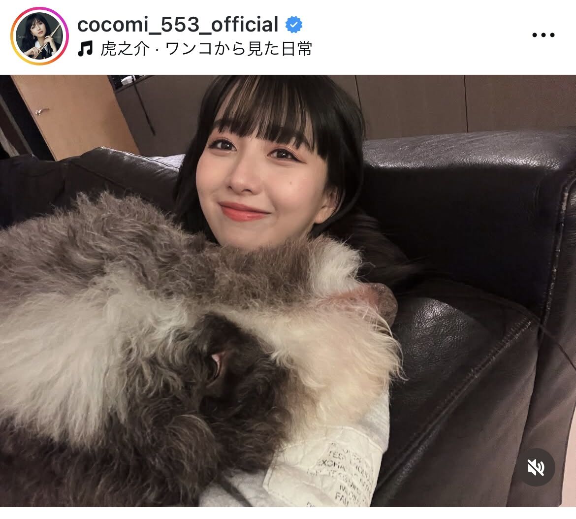 Cocomi、愛犬とのゆるいプライベートショットに癒される - ライブドアニュース