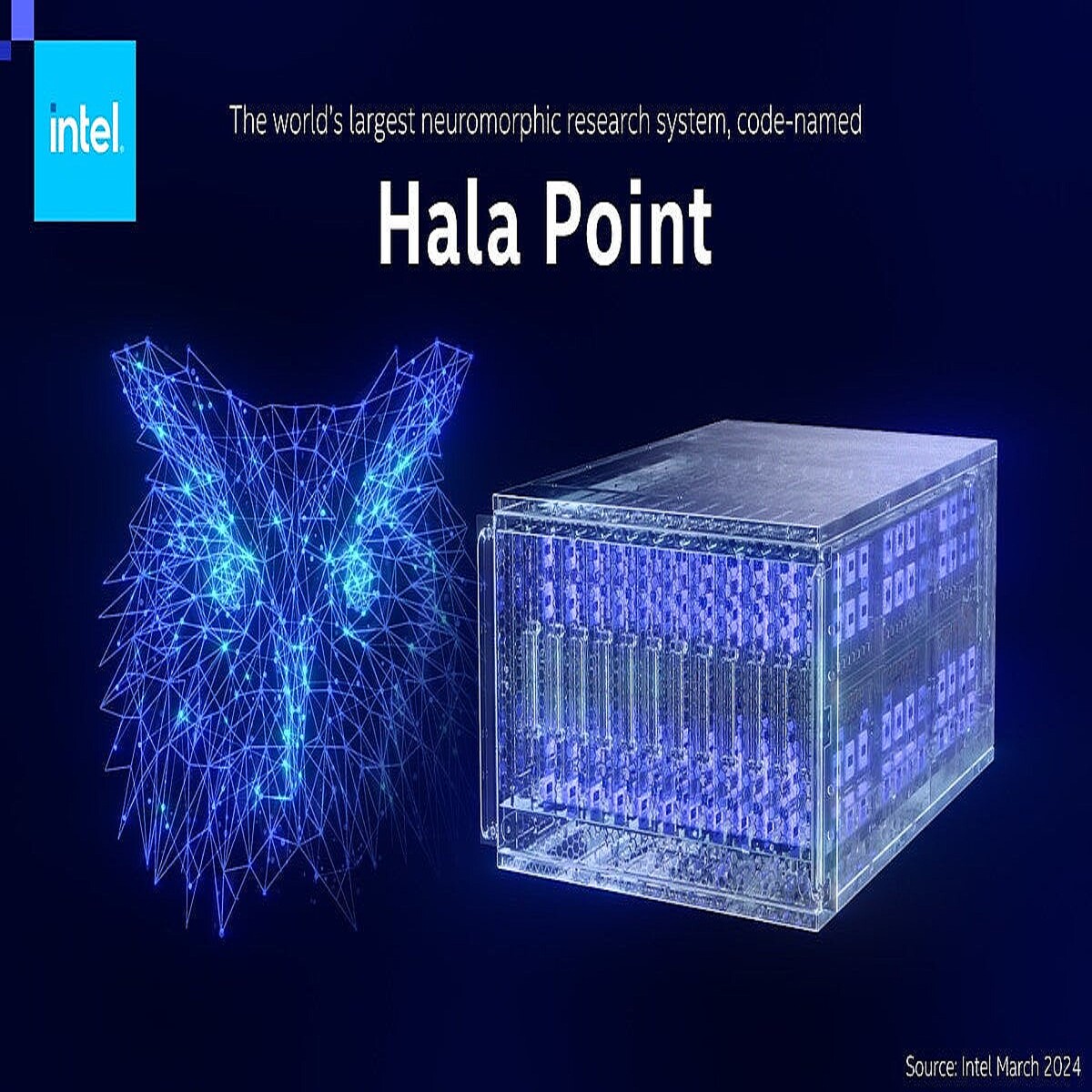 Intel「Hala Point」構築完了 - フクロウの脳とほぼ同等のニューロン容量実現へ (2024年4月18日掲載) - ライブドアニュース