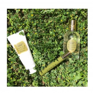 春を心地よく感じる♪ TOCCAのSpring Coffret【美的クラブ通信】 - Peachy - ライブドアニュース