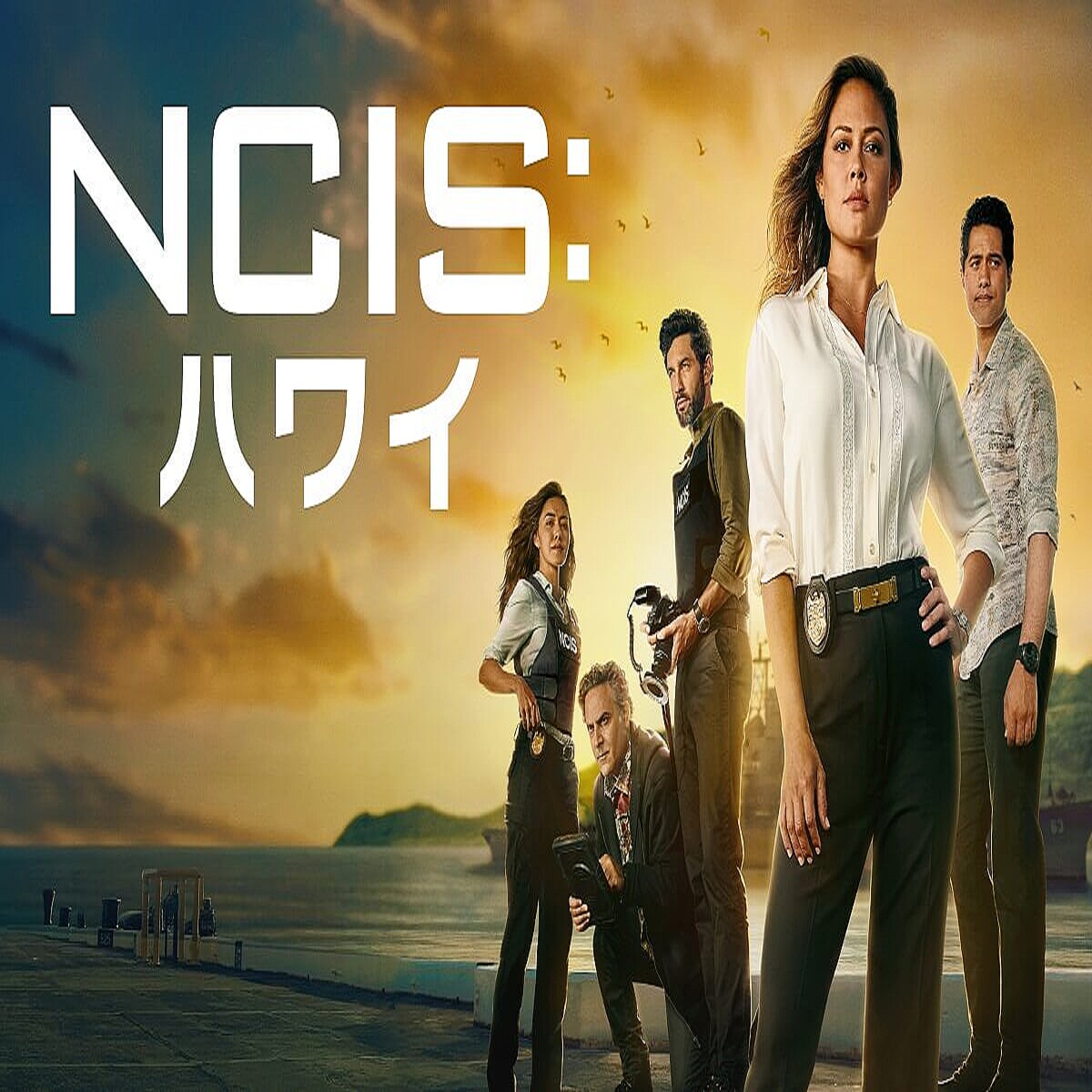『NCIS：ハワイ』シーズン1前半、本日よりHuluにて見放題独占配信スタート！ (2022年10月1日掲載) - ライブドアニュース