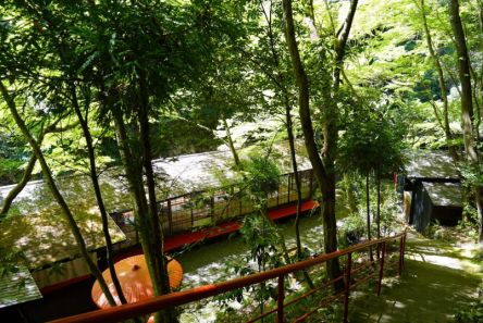 【京都】美しい緑と清流に癒やされる！ 川沿いのカフェレストラン「ROOT2 RIVERSIDE」でチルタイム - ライブドアニュース