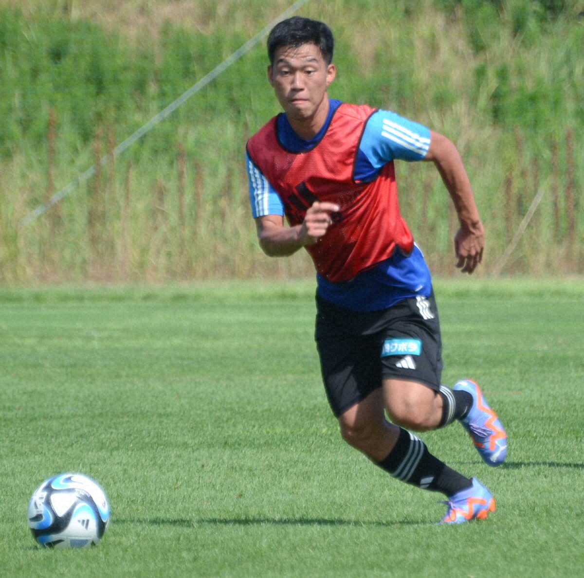 新潟 MF高のFC東京への完全移籍とGK小島の残留を発表 - ライブドアニュース