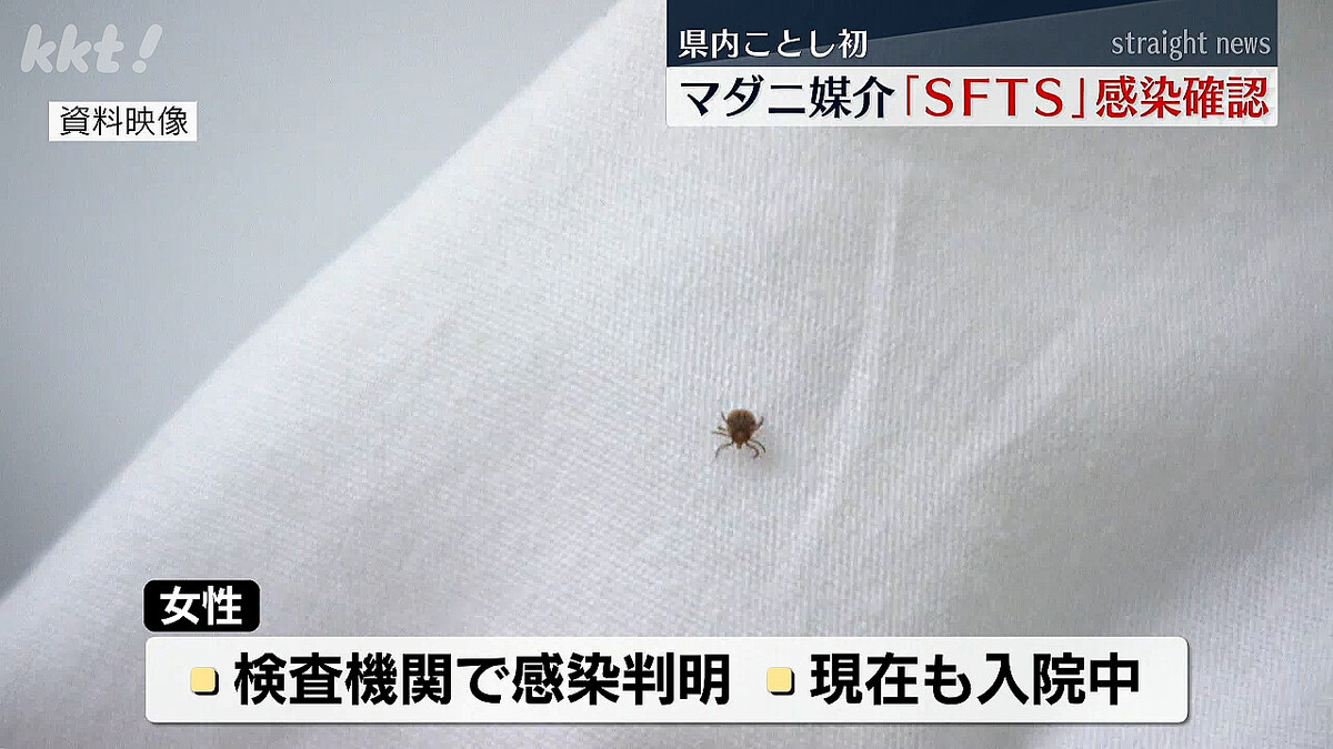 マダニ媒介の｢SFTS｣熊本県内で今年初の感染確認 - ライブドアニュース