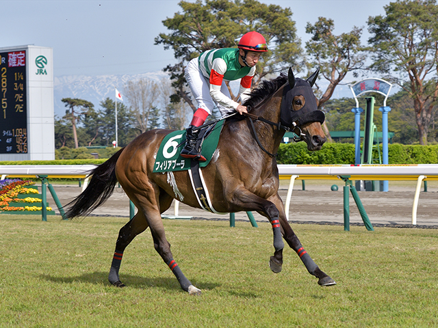【JRA】2019年フェアリーSの覇者フィリアプーラがノーザンFで繁殖入りへ (2021年10月21日掲載) - ライブドアニュース