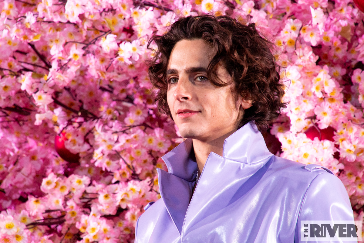 ティモシー・シャラメのプロフィール、キャリア、おすすめ代表作5選を紹介 - ライブドアニュース