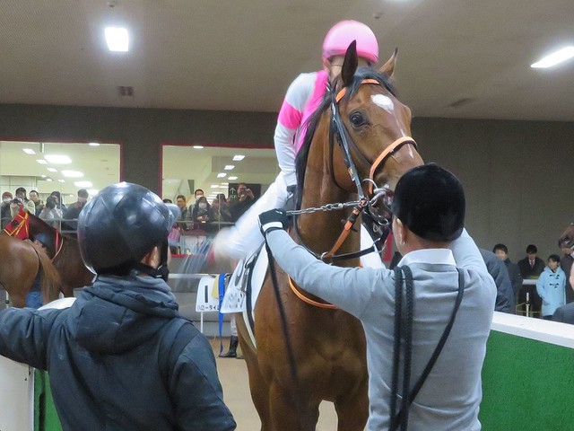 【新馬/東京3R】7番人気バルサミックムーンが4馬身差デビューV！ (2020年2月9日掲載) - ライブドアニュース