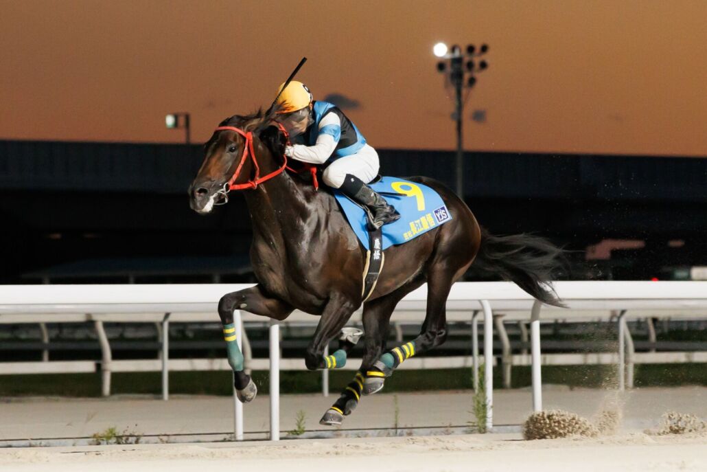 【YJS名古屋】JRA橋木太希、地方望月洵輝が暫定1位 (2024年9月19日掲載) - ライブドアニュース