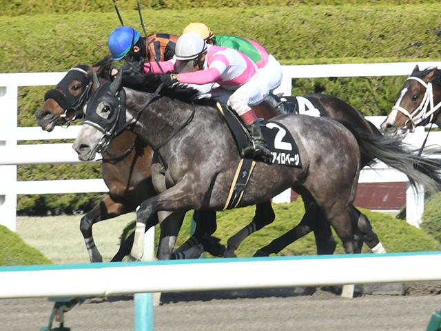 【画像】【JRA・WIN5】本日のWIN5は的中231票、配当235万70円 - ライブドアニュース