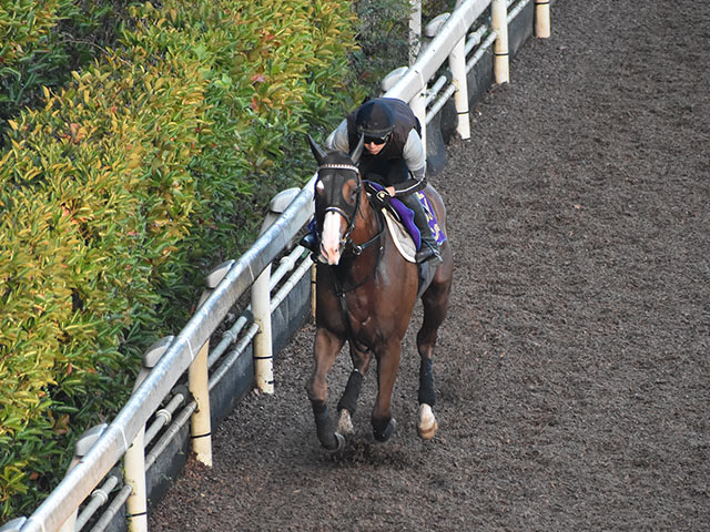 Xnxx nonton video bokep