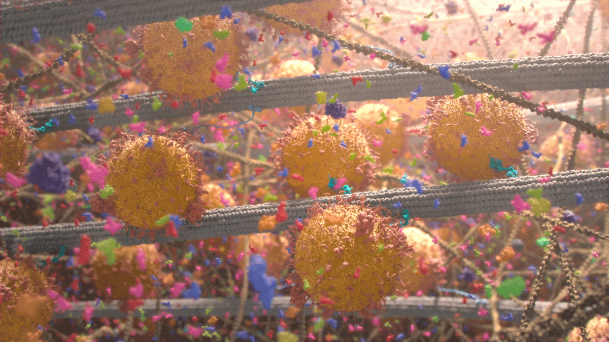 タモリ「問題が大きすぎて取り乱した」“命の神秘”に迫るNHKスペシャル「人体III」4月27日放送開始 - ライブドアニュース