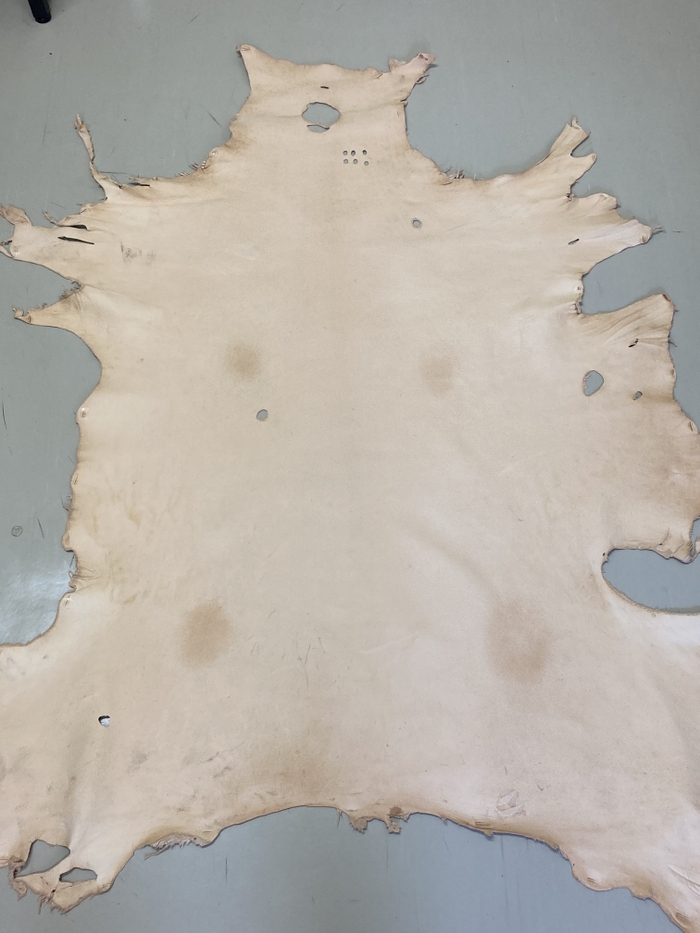 富士山麓で駆除される鹿の皮に命を吹き込む──P′s Leather Craftがジビエレザー循環モデル構築へ - ライブドアニュース