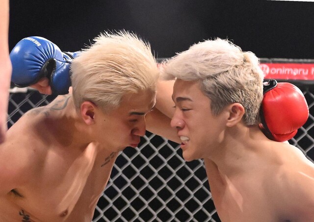 “闘う料理人”こめおがもん絶KO負け RIZIN戦士YUSHIの右膝を腹部に被弾 立ち上がれず担架でリング後に - ライブドアニュース