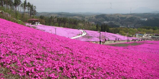 電気代が地域貢献につながる新しい取り組みを開始「みんな電力」の買電資金が地域観光整備に活用 - ライブドアニュース