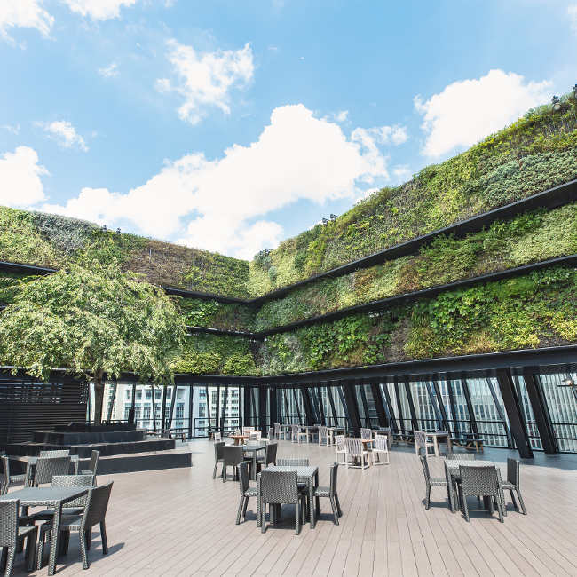 開放感とこだわりのメニュー！東急プラザ銀座にルーフトップ カフェ&バー「The Mint Ginza」がオープン - ライブドアニュース