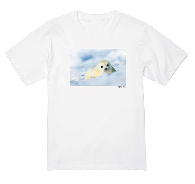 24時間テレビでも話題、動物写真家・小原玲さん シマエナガやアザラシの赤ちゃんのカワイイ作品がプリントTシャツになった！ - ライブドアニュース